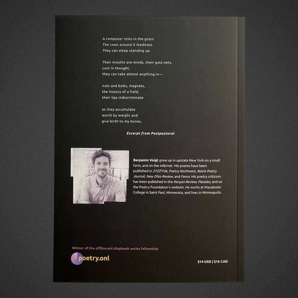 The poetry.onl Chapbook Fellowship — Poetry Online