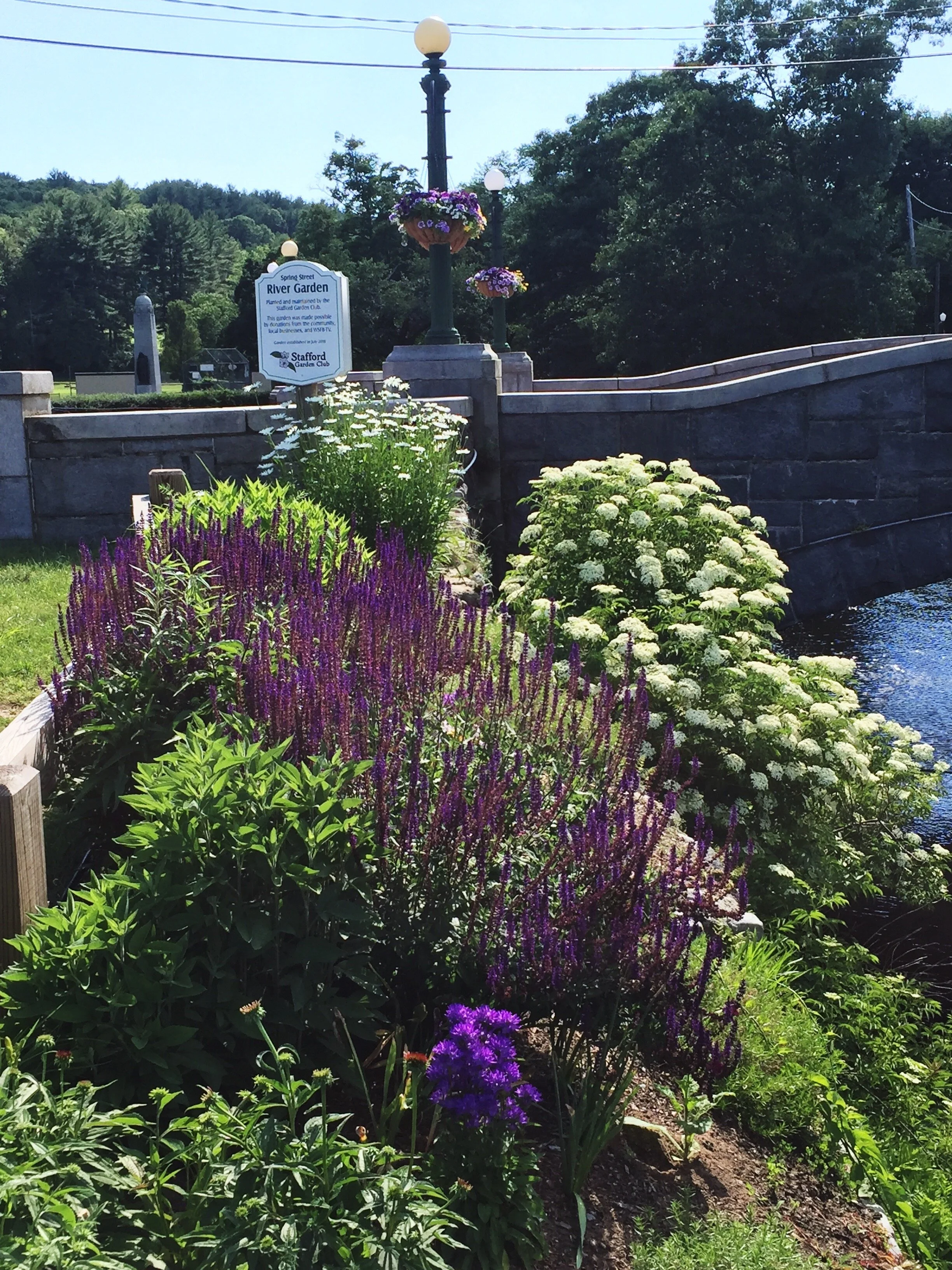 Creating Local Pollinator Pathways — Stafford Garden Club | Stafford ...