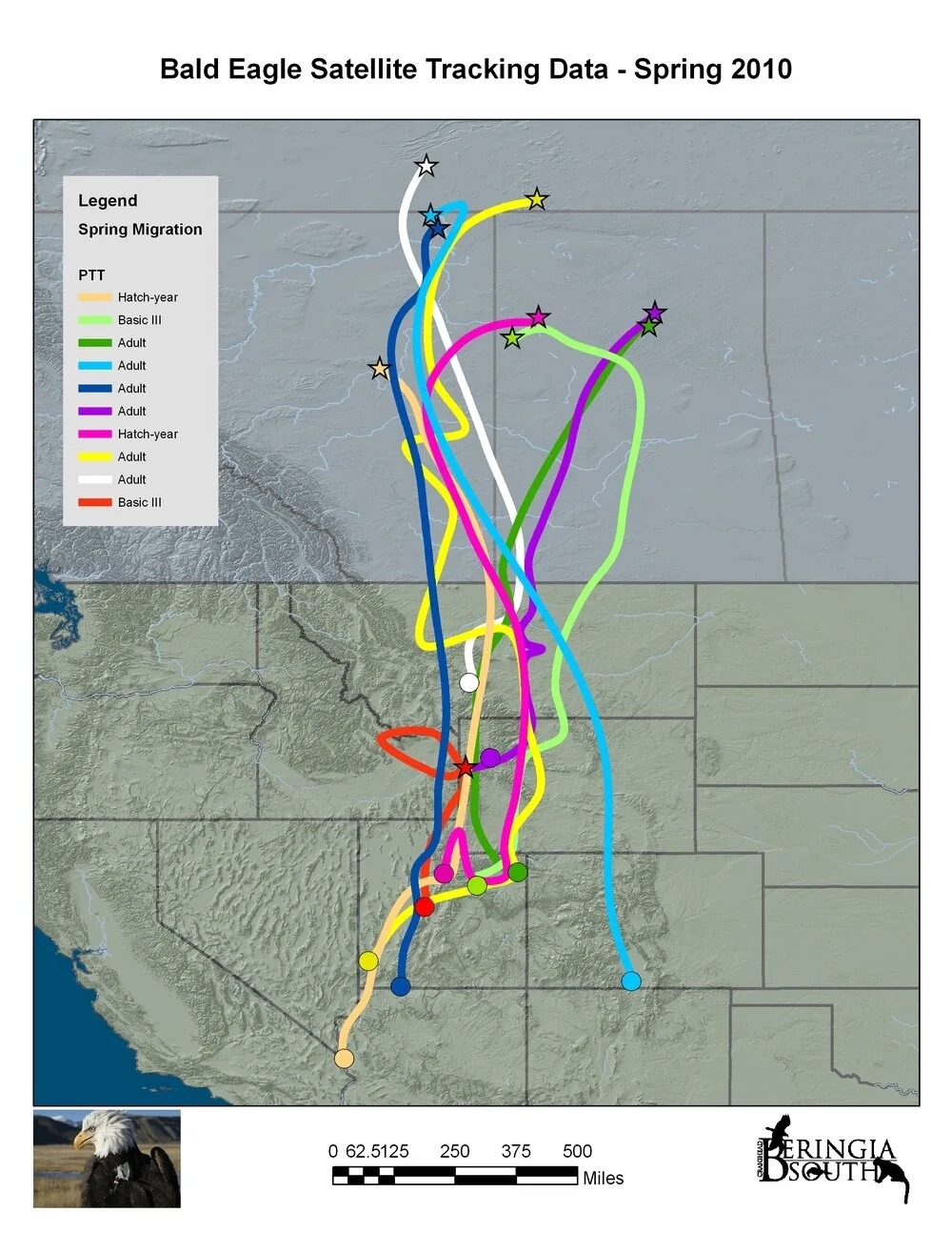 Raptor Migration Project — Craighead Beringia South