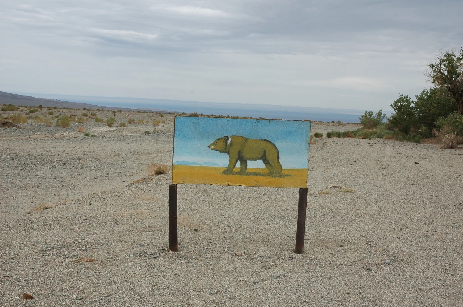 Gobi Bear Project — Craighead Beringia South