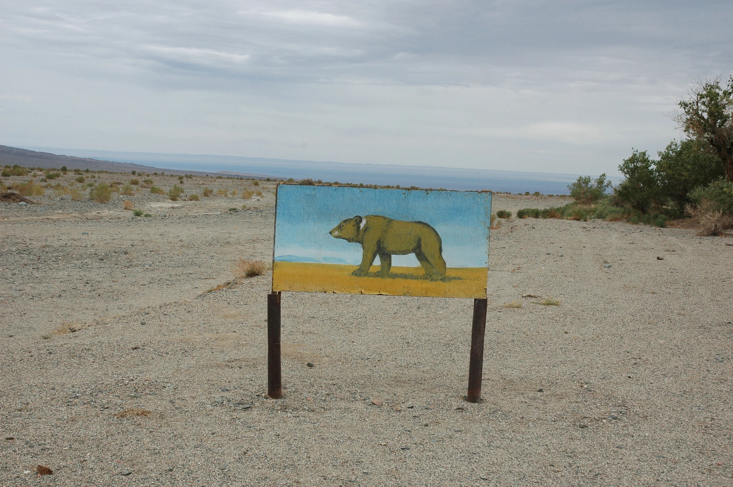 Gobi Bear Project — Craighead Beringia South