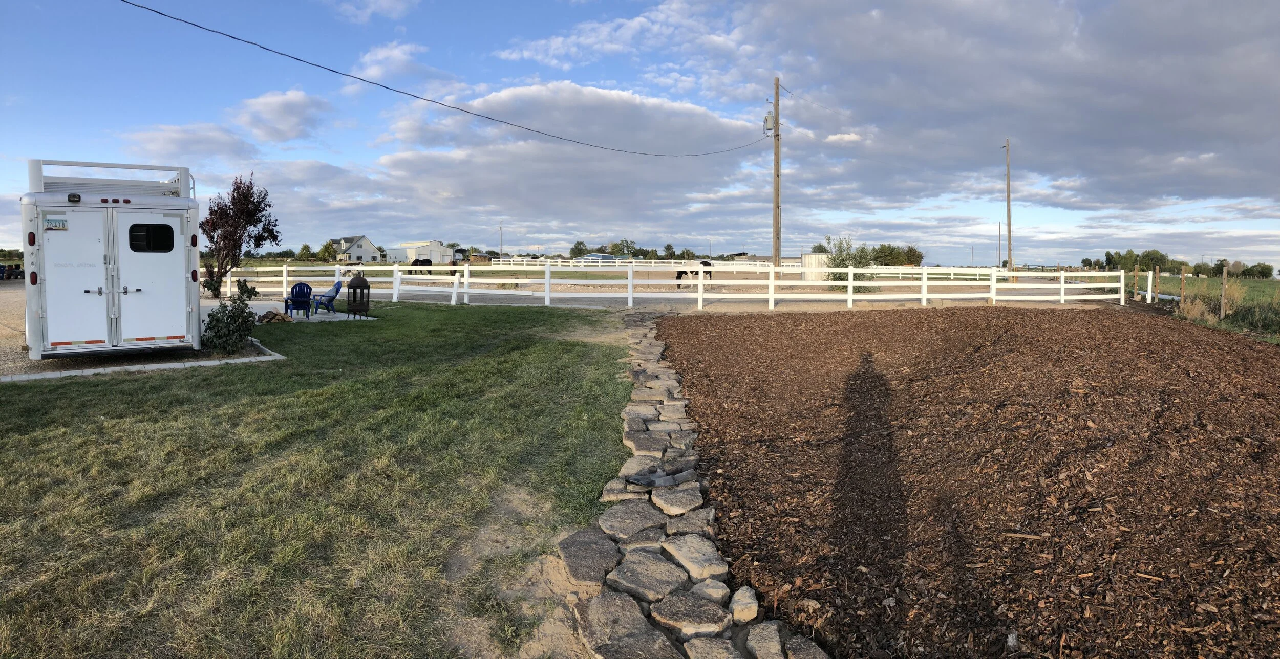 About — Horse & Halo