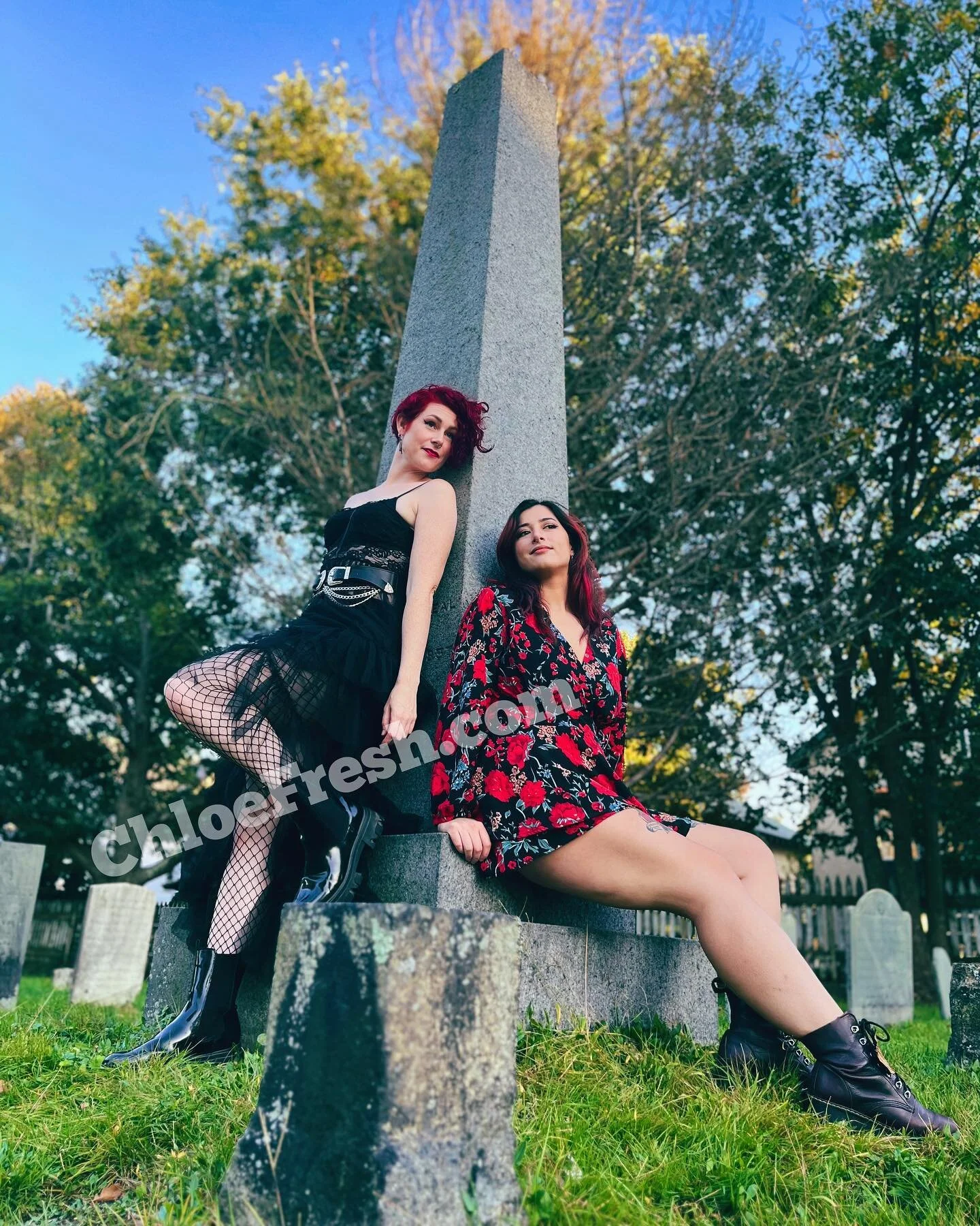 Instagram Gallery — Chloe Fresh