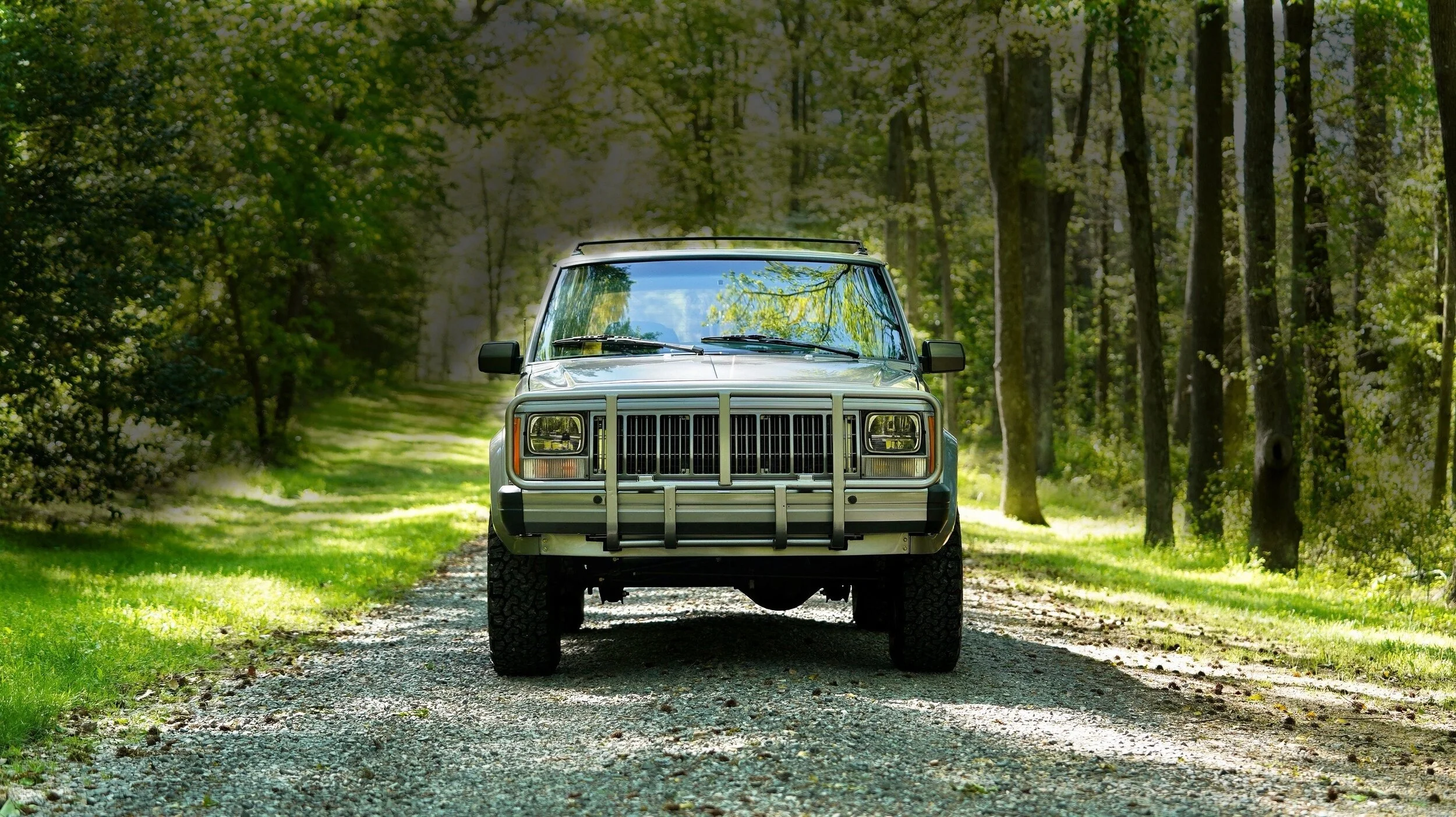 Davis AutoSports