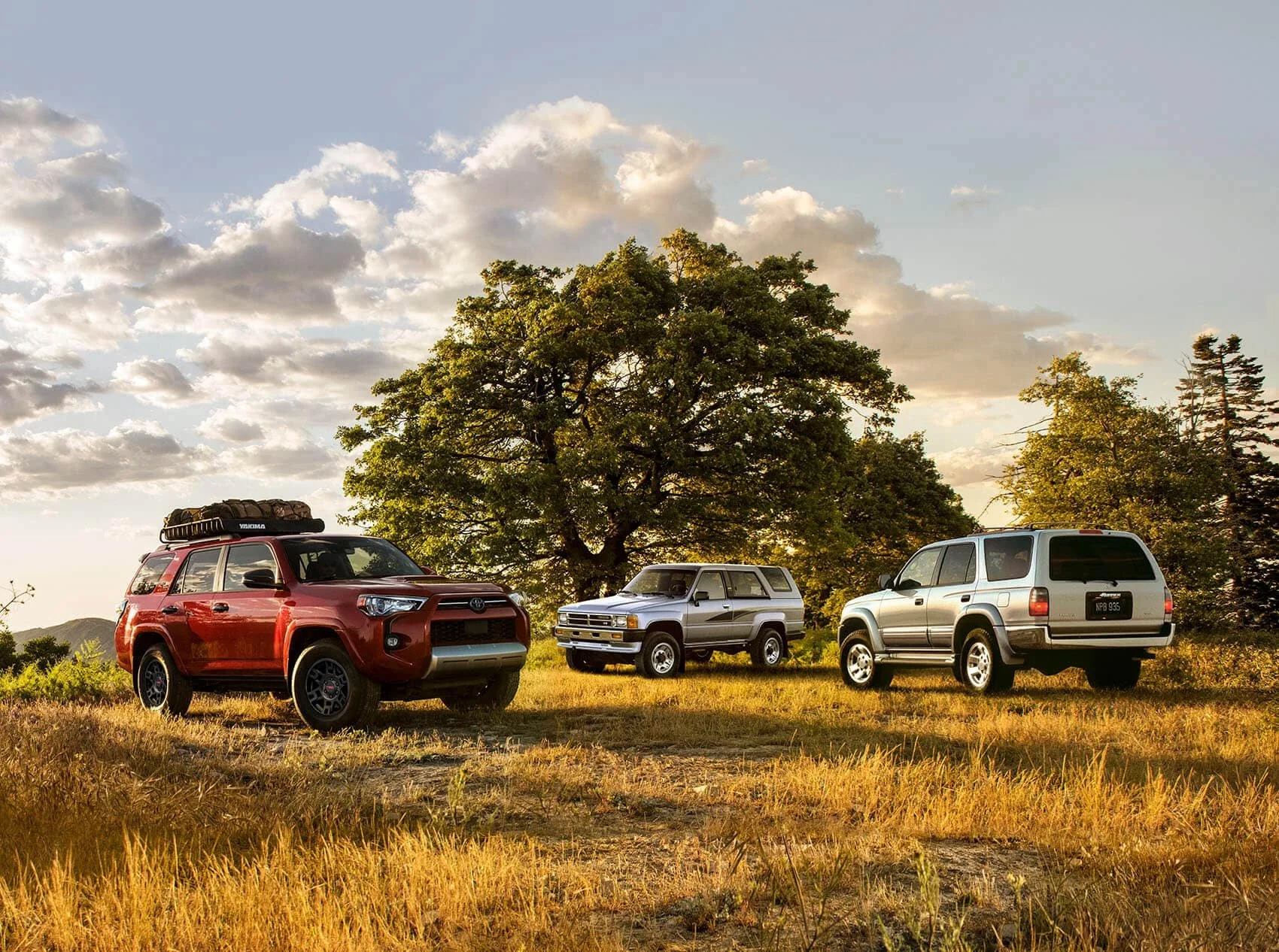 4Runner Display Page — Davis AutoSports