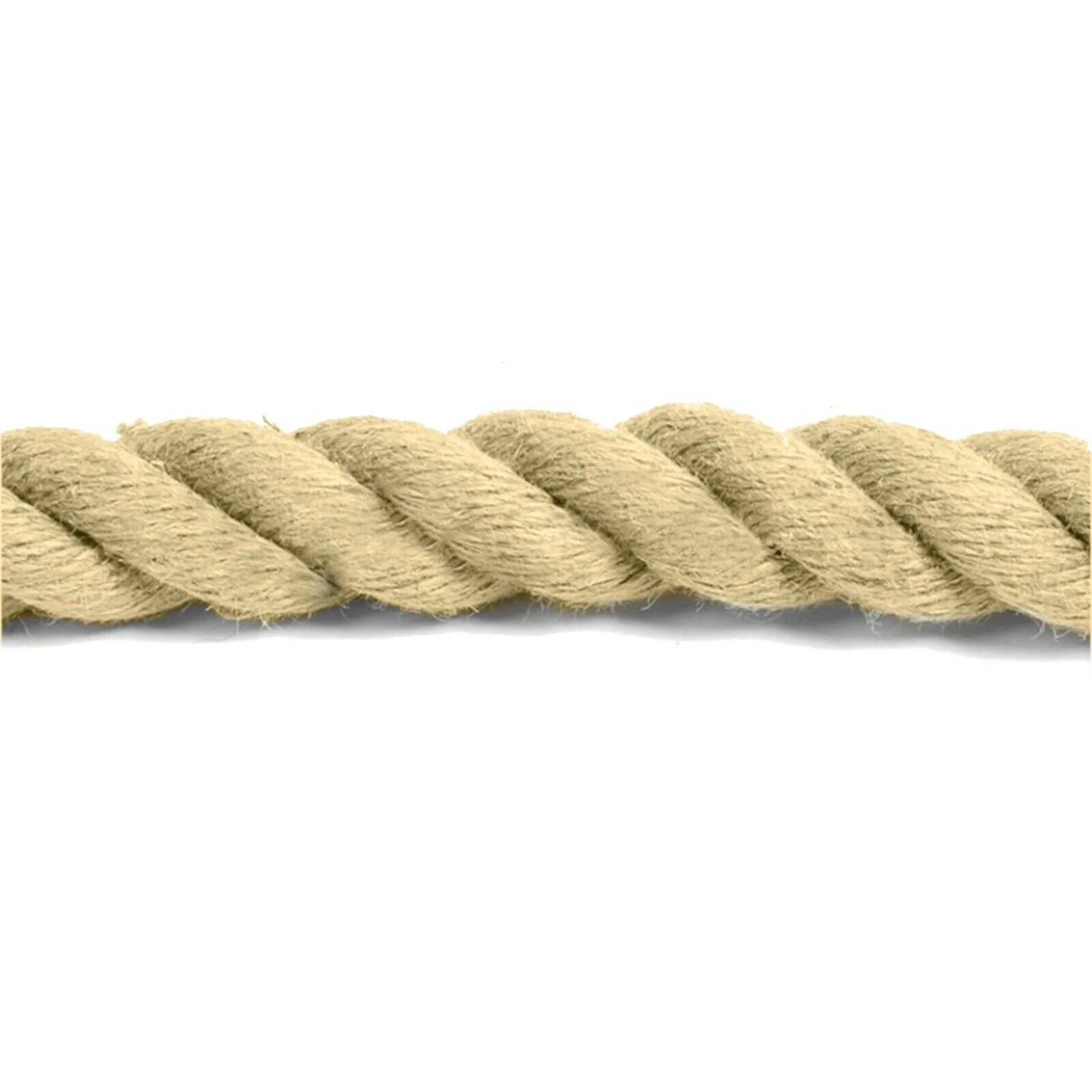 Climbing Ropes — Rhino Fitness