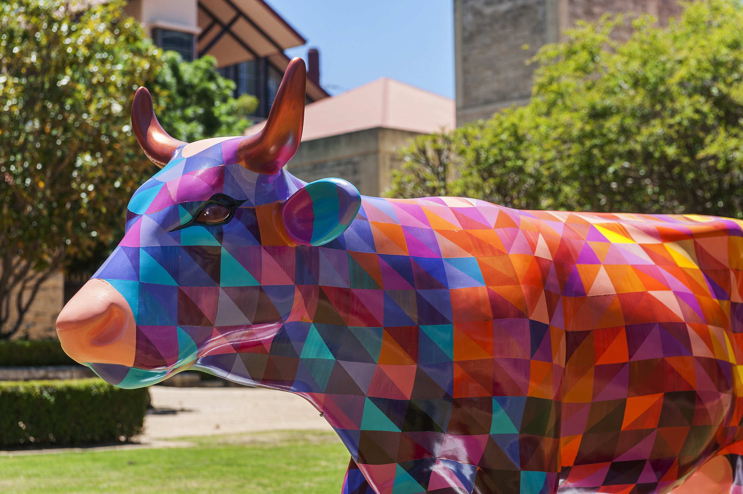 Perth Cow Parade — LEANNE BRAY