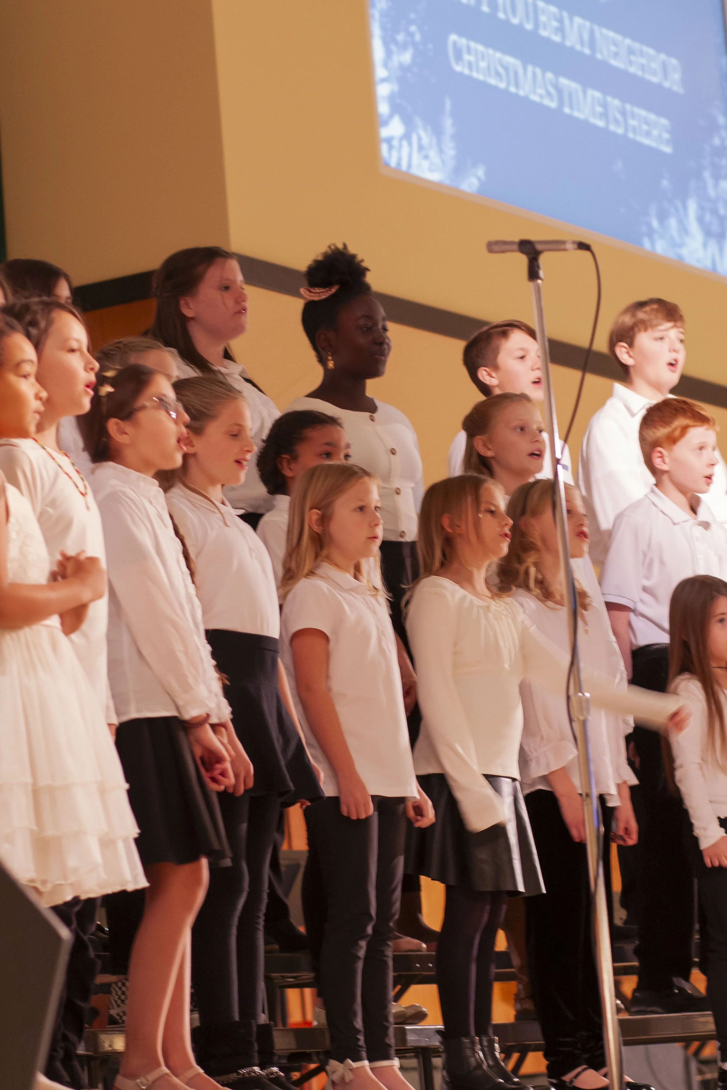 Classes — MKS Studio