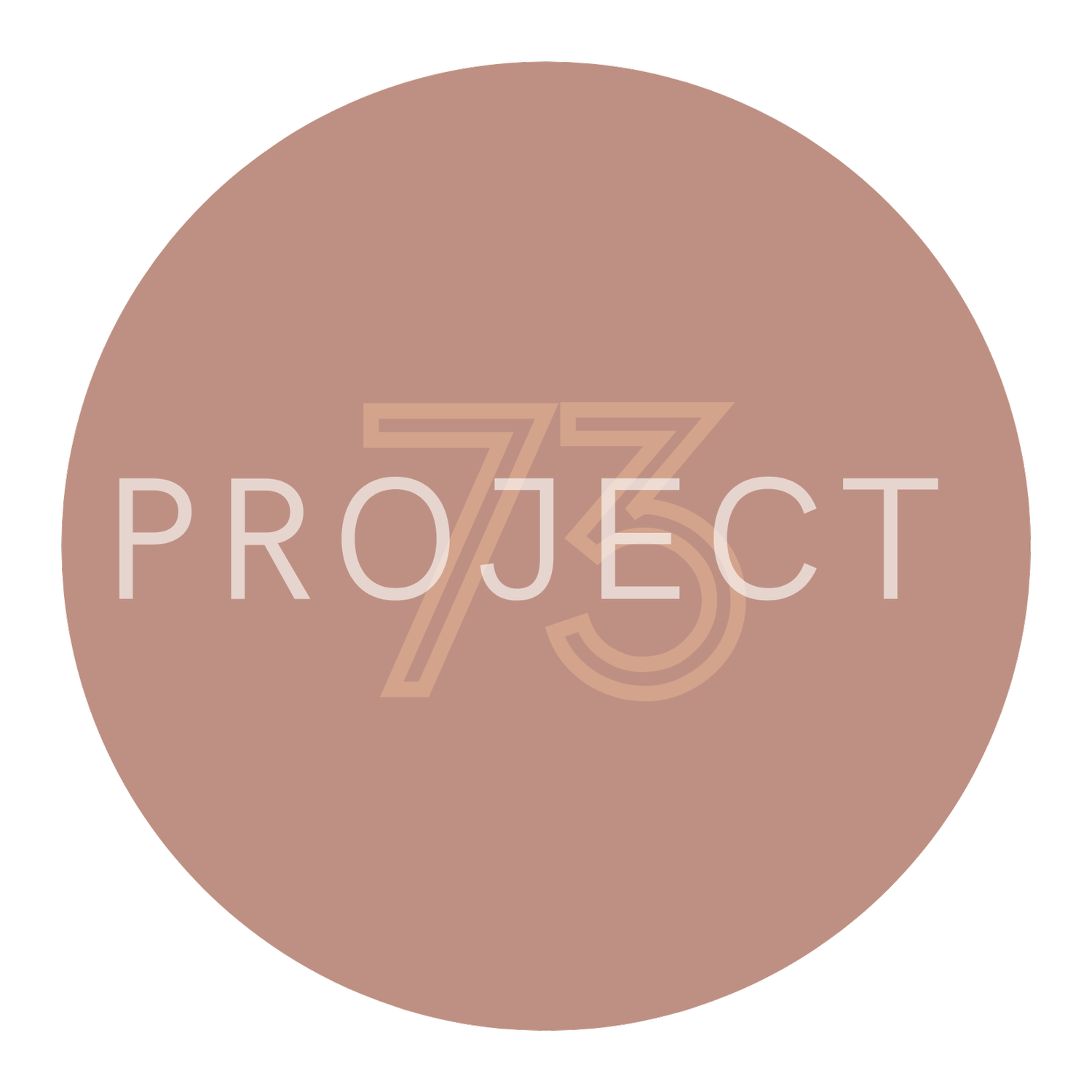 General 2 — Project 73