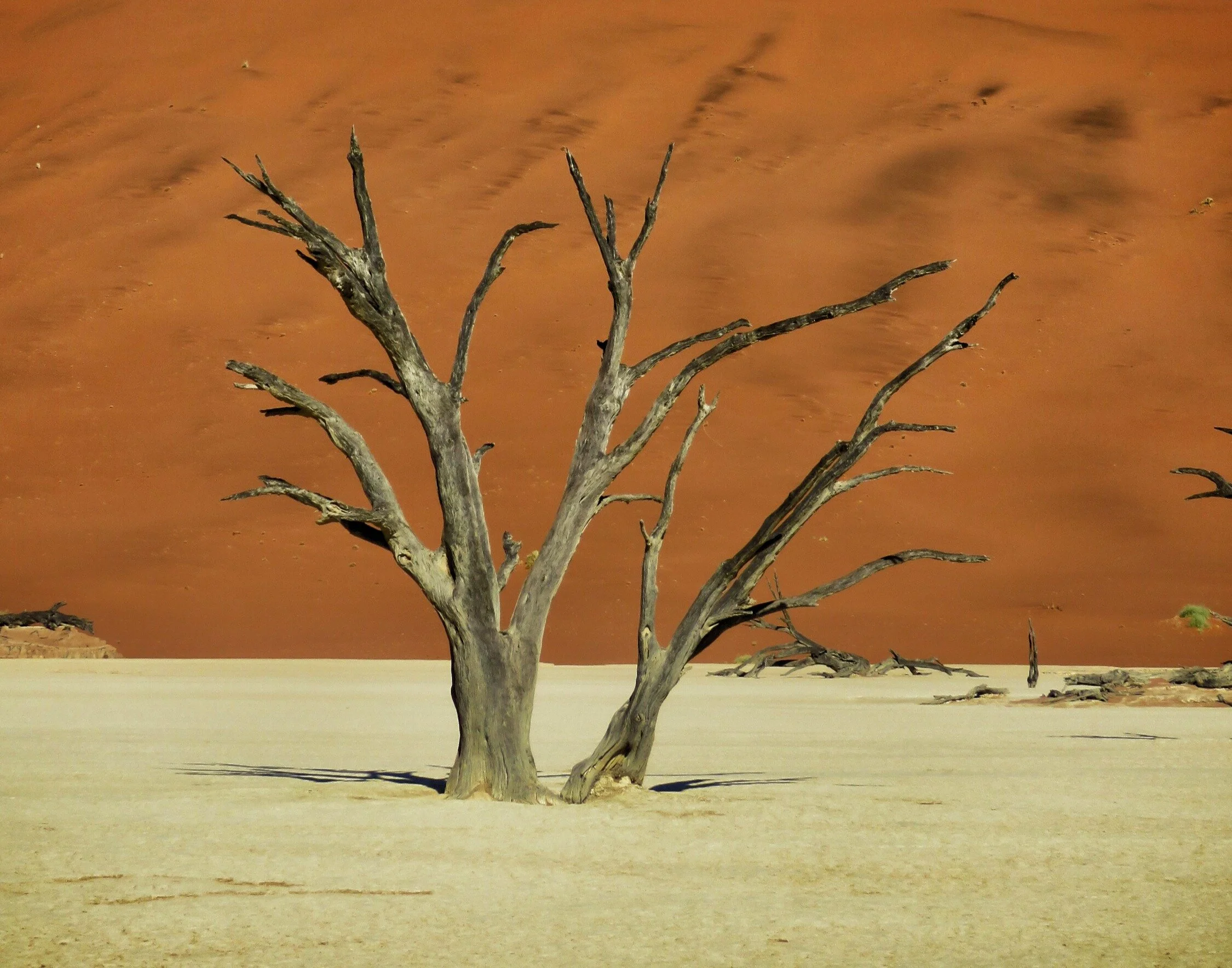 Fault Tree Analysis (FTA) — edVirtus