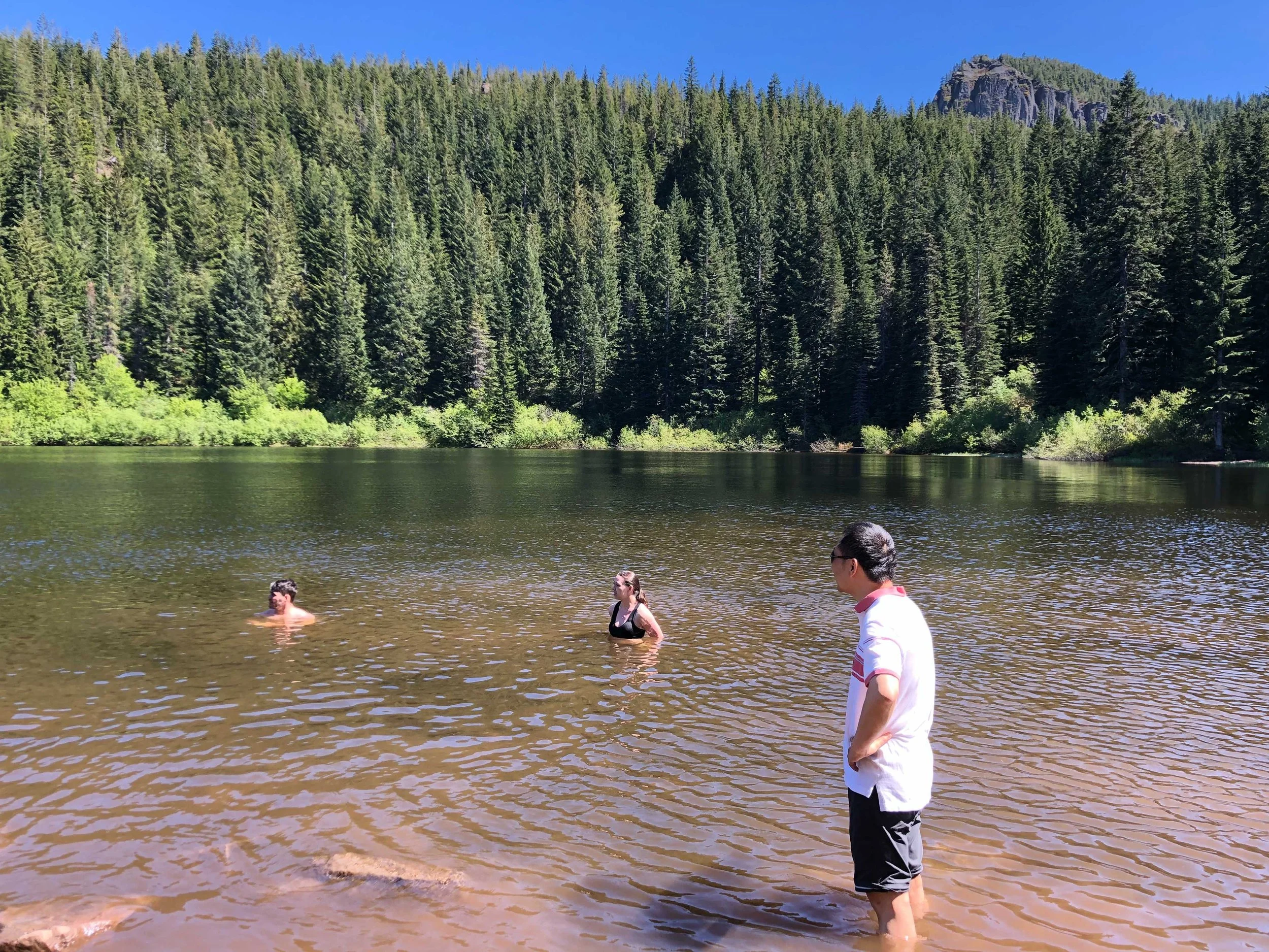 Gallery 1 — Zhong Lab