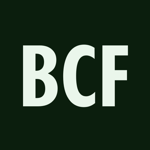 Briggs Capital Formation