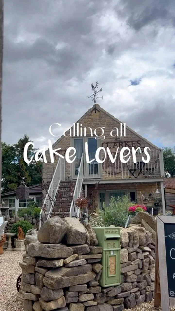 Book an appointment to visit Clarkes Farm — Clarke's Farm