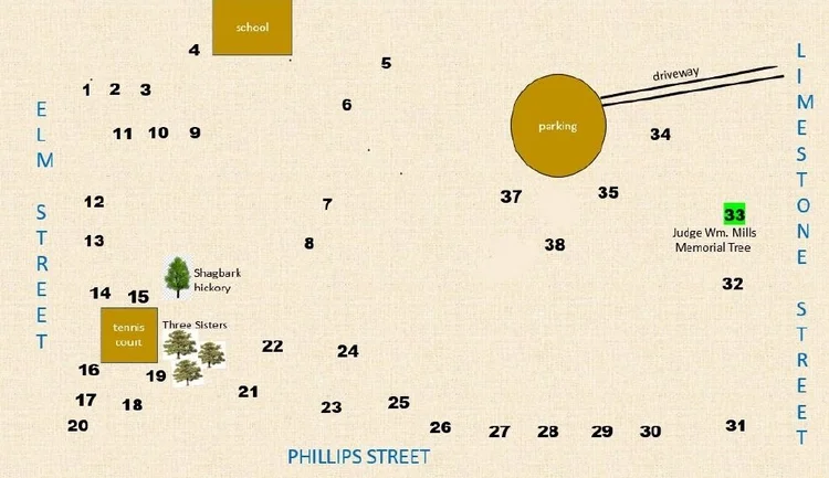 Tribute Trees — Preserve Mills Lawn Greenspace