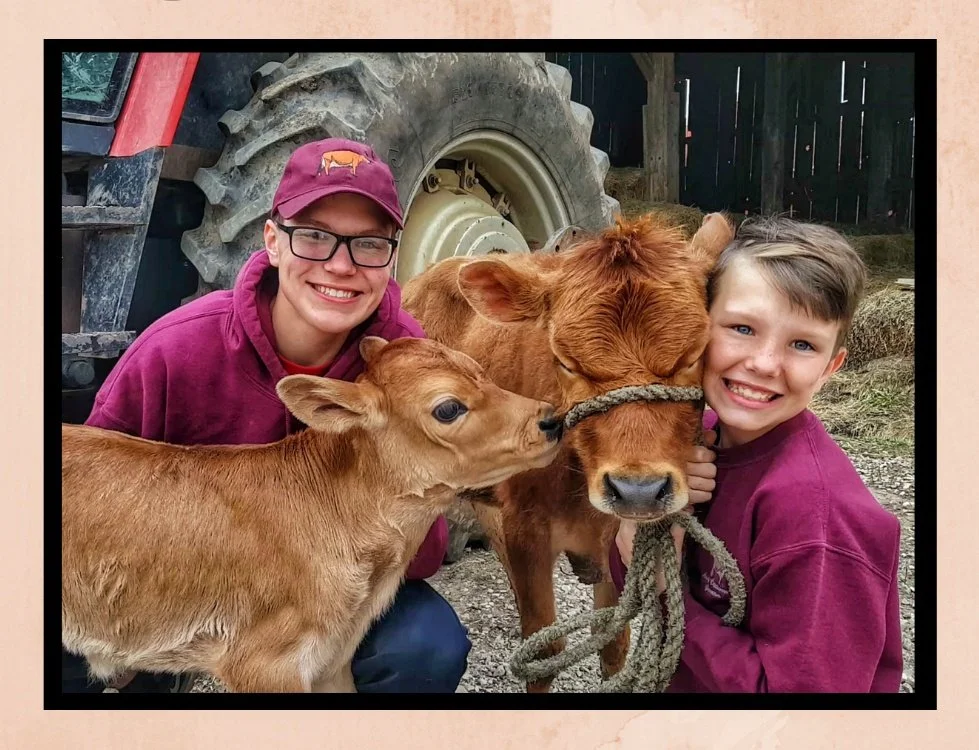 Little Brown Cow Cheese LLC