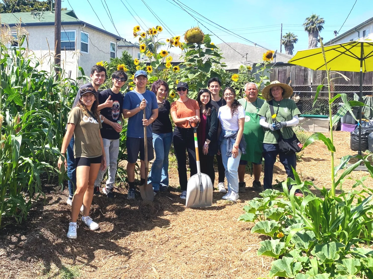 Corporate Volunteer Groups-- Educational Groups & Individual Volunteers — Growing Hope Gardens