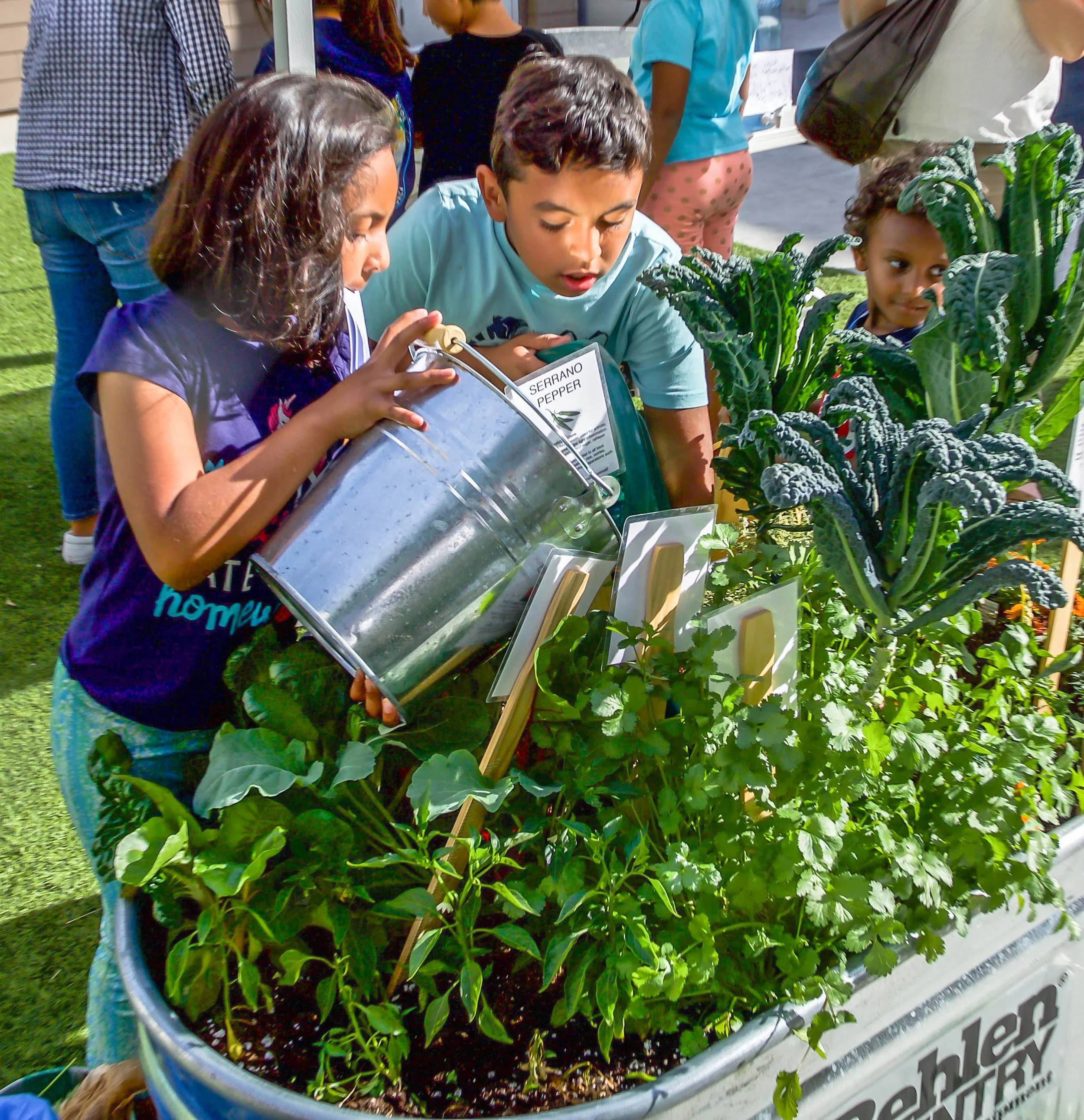 Growing Hope Gardens
