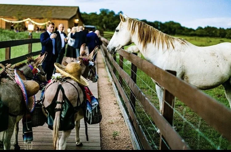 Wedding Pros — KING RIVER RANCH