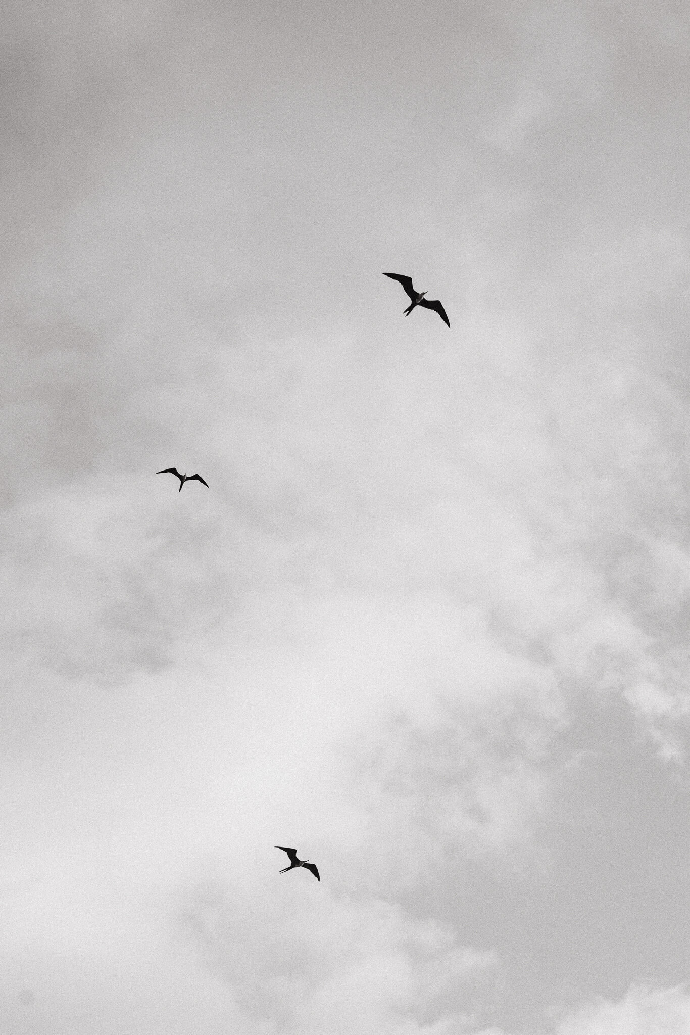 Mondello Swim — Nathan Wahl Photography