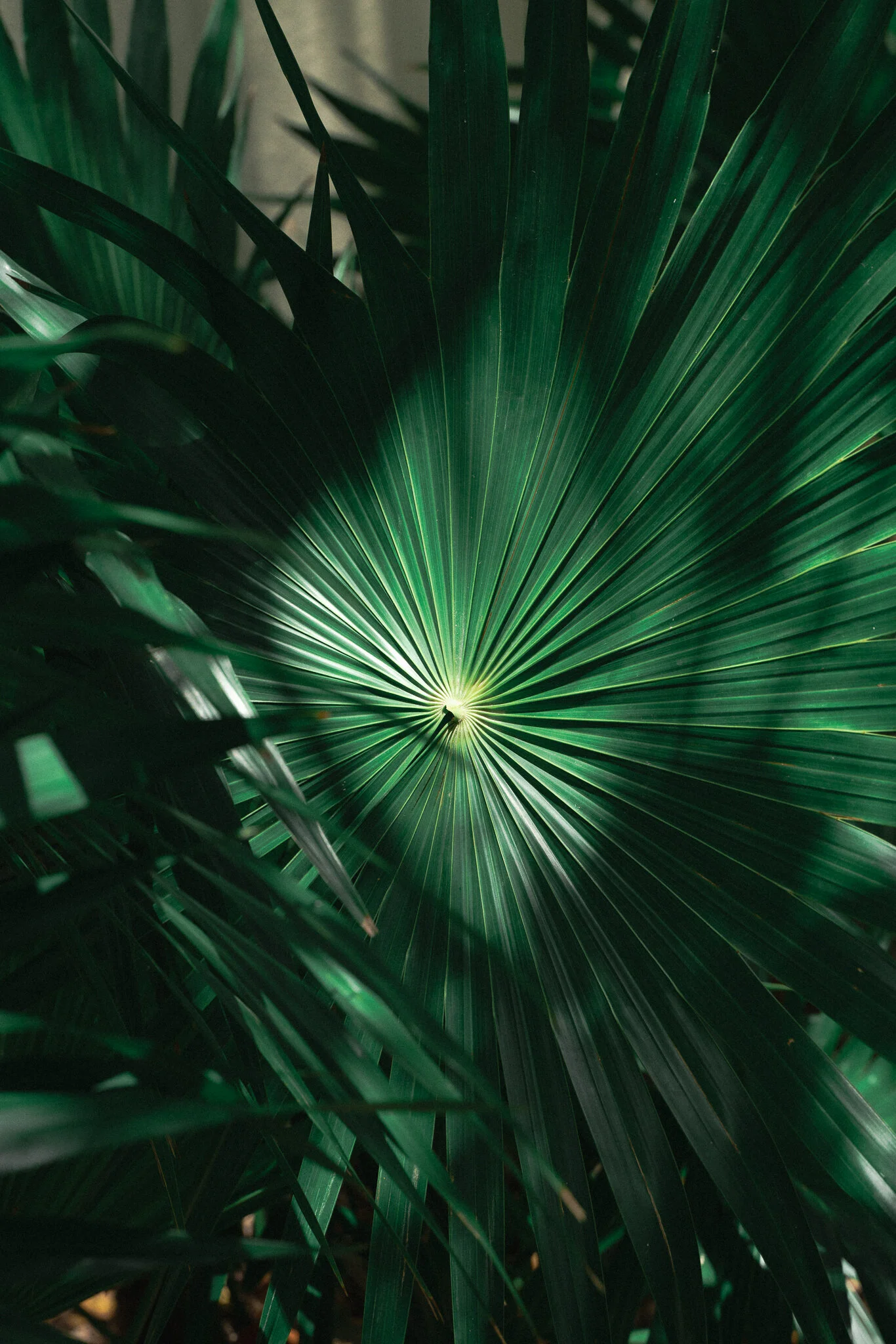 Mondello Swim — Nathan Wahl Photography