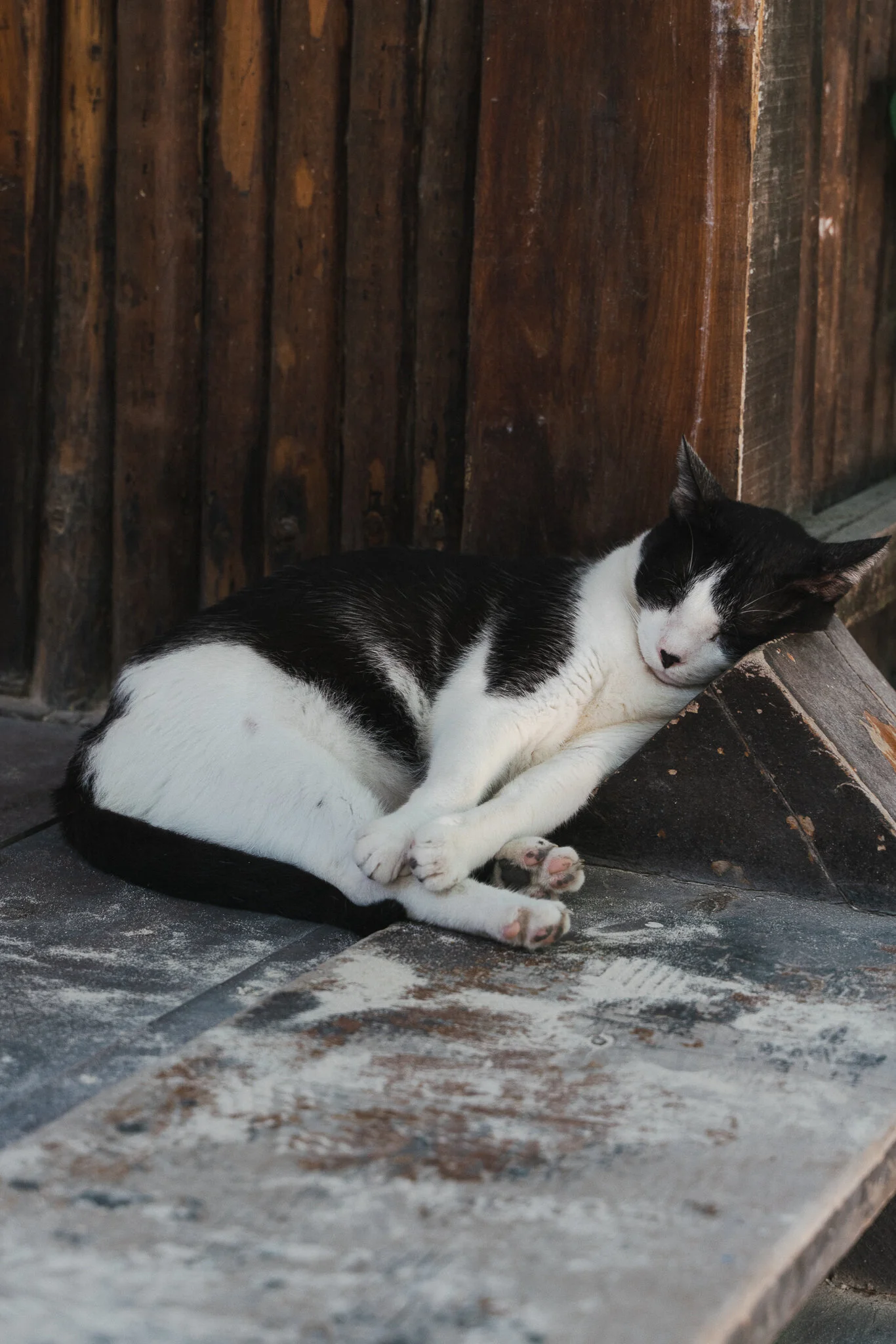 Mondello Swim — Nathan Wahl