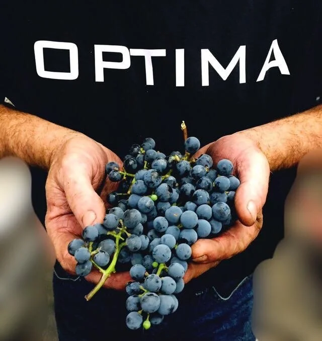 Optima Winery