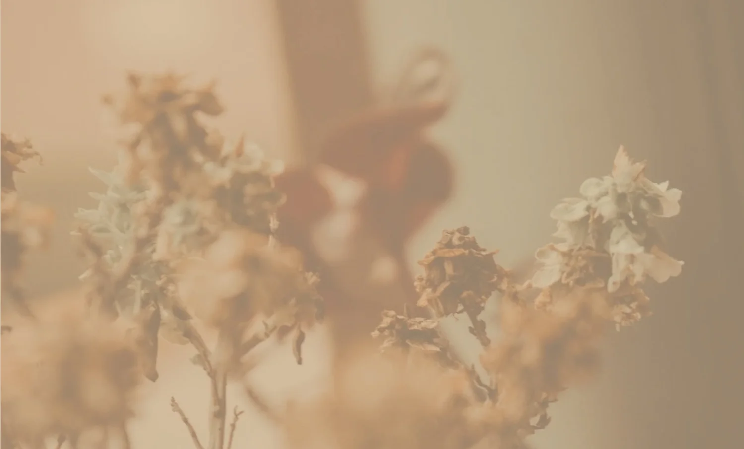 Shiftwave Chair — Beloved Identity