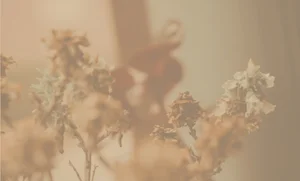 Shiftwave Chair — Beloved Identity