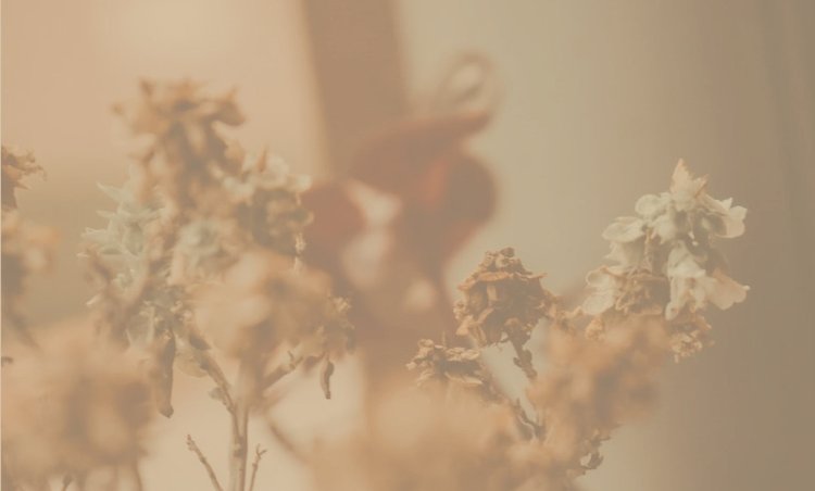 Shiftwave Chair — Beloved Identity