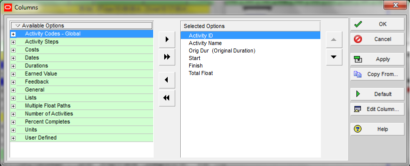 How to quickly add new columns to a P6 layout