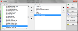 How to quickly add new columns to a P6 layout