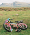 Zine Library — CYCLISTA ZINE