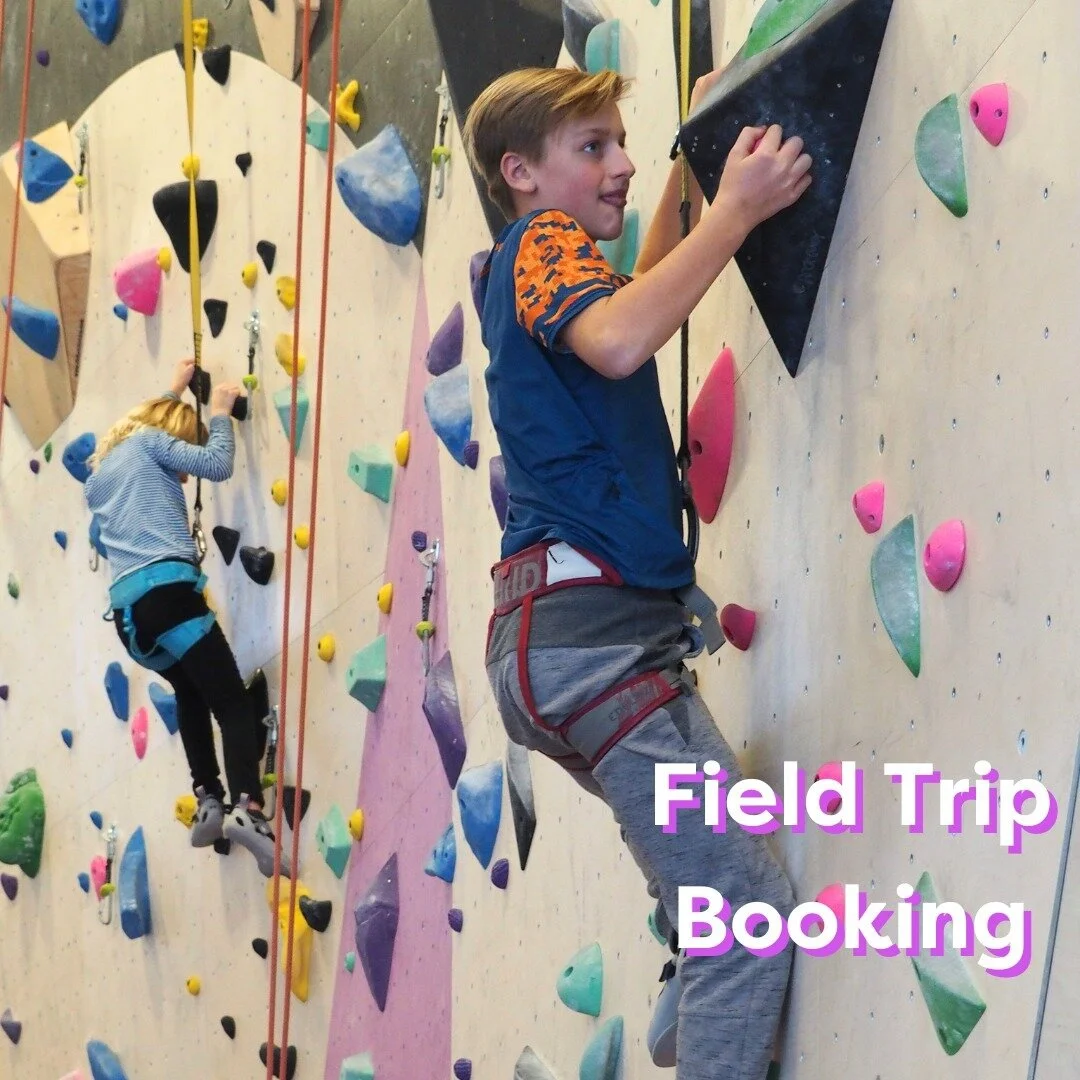 ELEV8 Climbing Gym | Indoor Climbing - TRAVERSE CITY'S SOURCE FOR ...