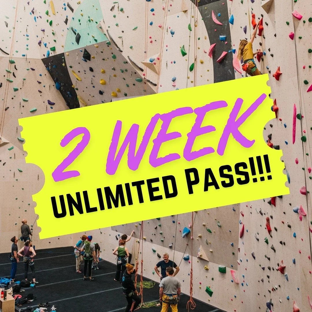 ELEV8 Climbing Gym | Indoor Climbing - TRAVERSE CITY'S SOURCE FOR ...