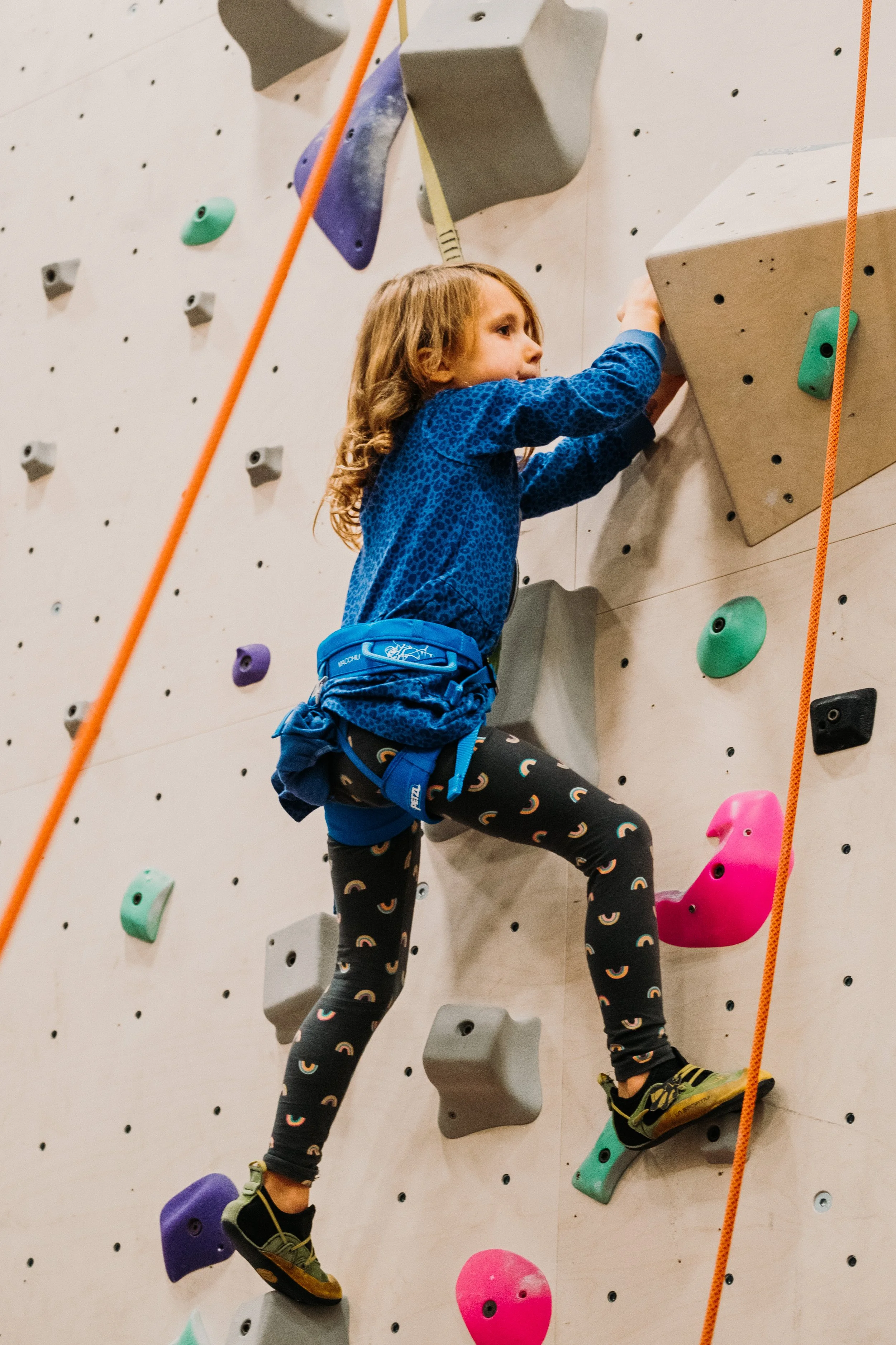 Family Climb Time — ELEV8 Climbing Gym | Indoor Climbing - TRAVERSE ...