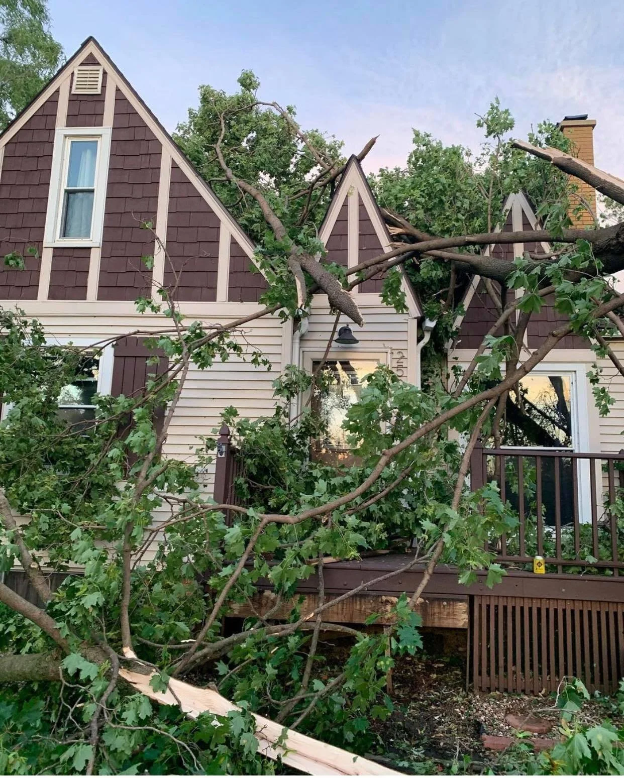 Bex X On View Gallery — On View Gallery