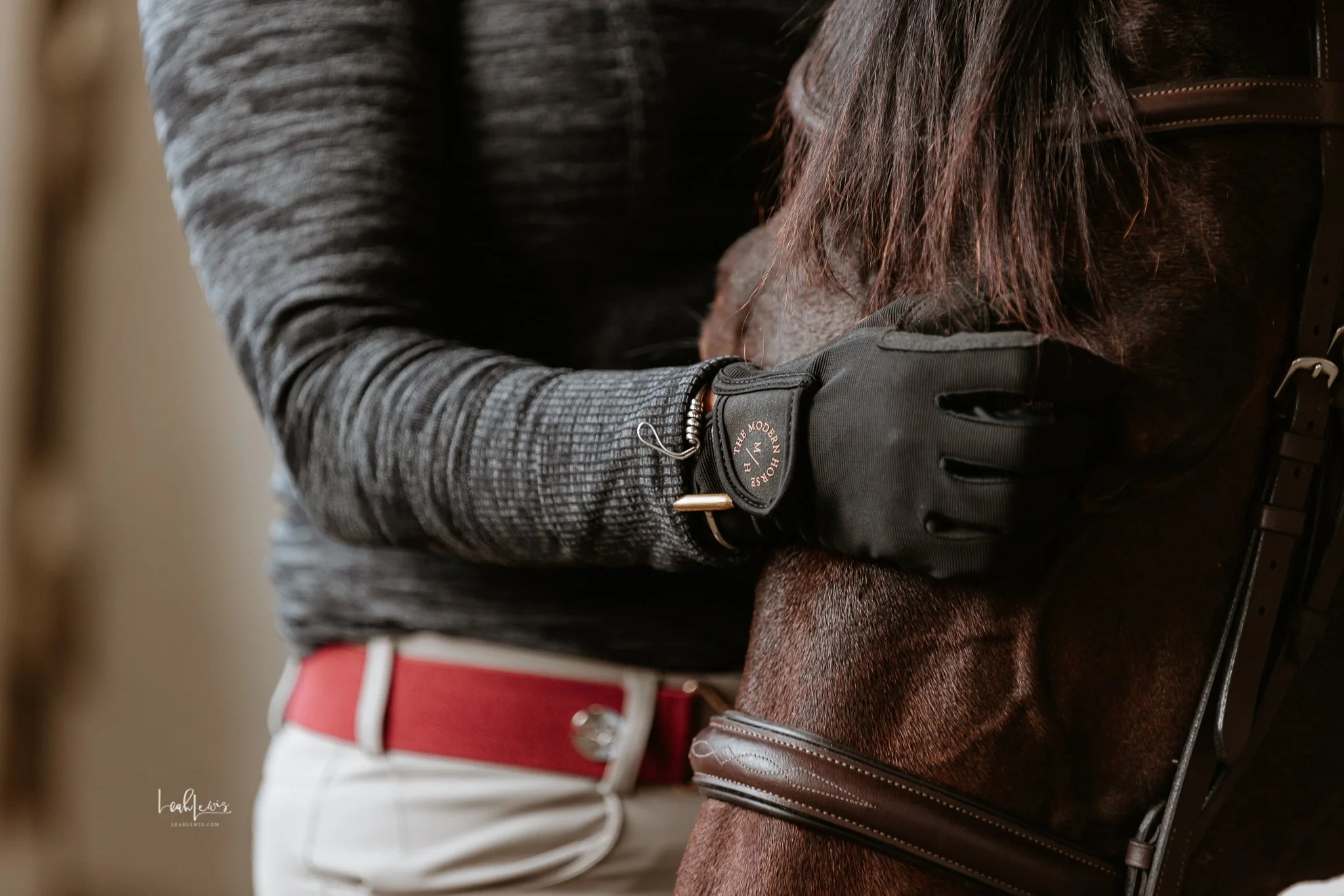 Shop — The Modern Horse