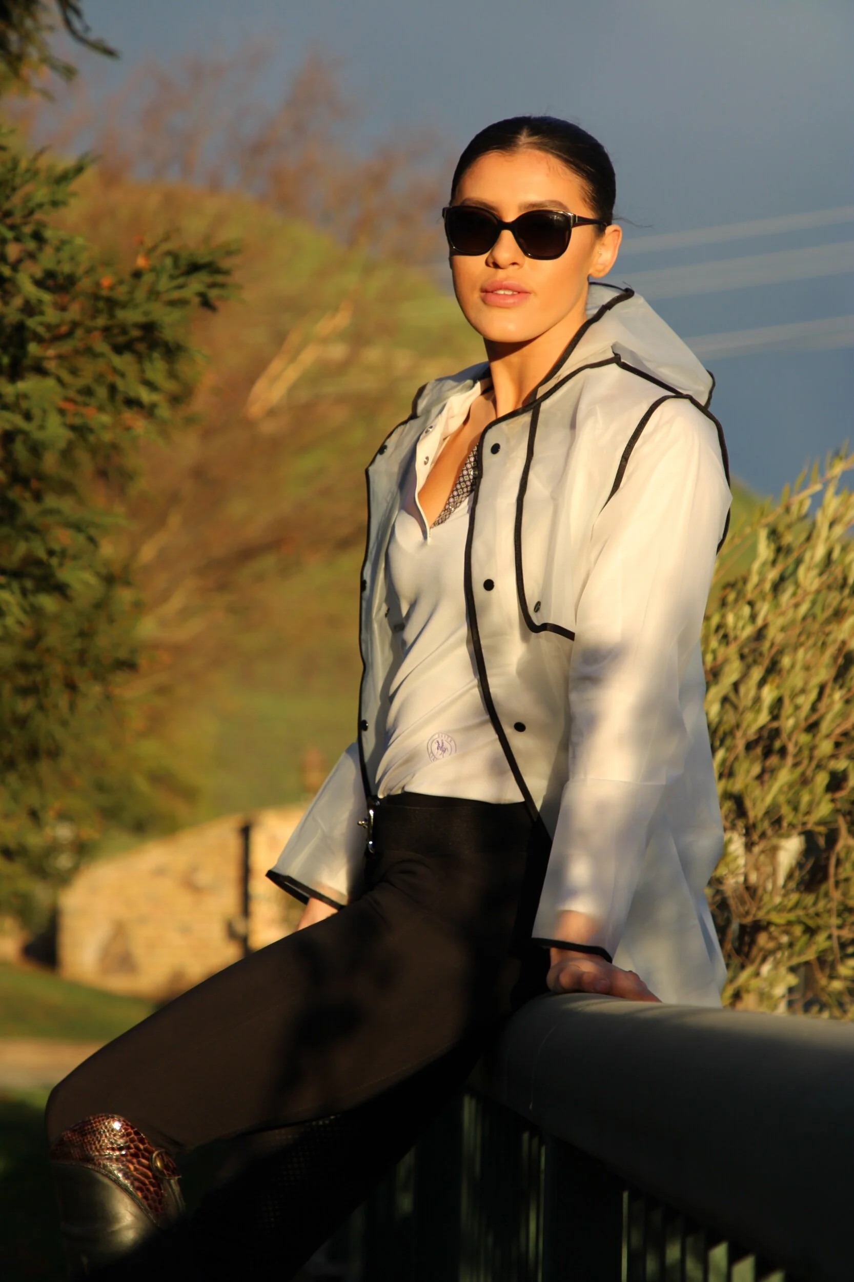 Shop — The Modern Horse