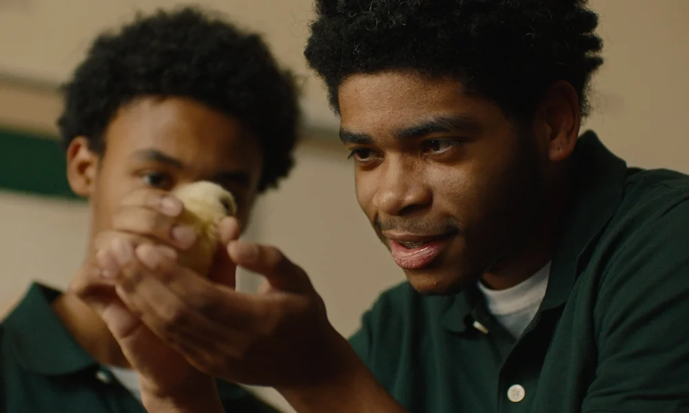 Chicken — Josh Leong