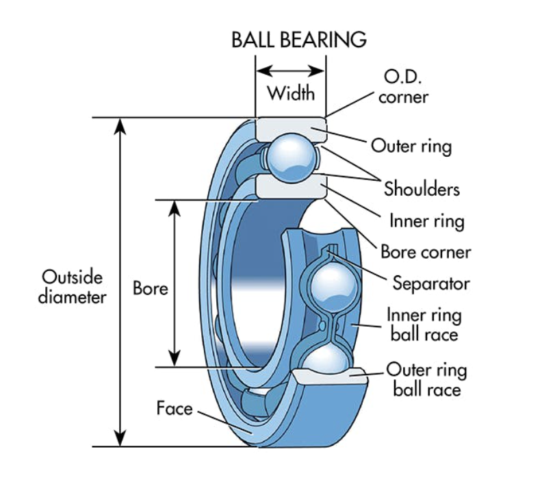Roller Skates Anatomy - Bearings — Princess on Skates