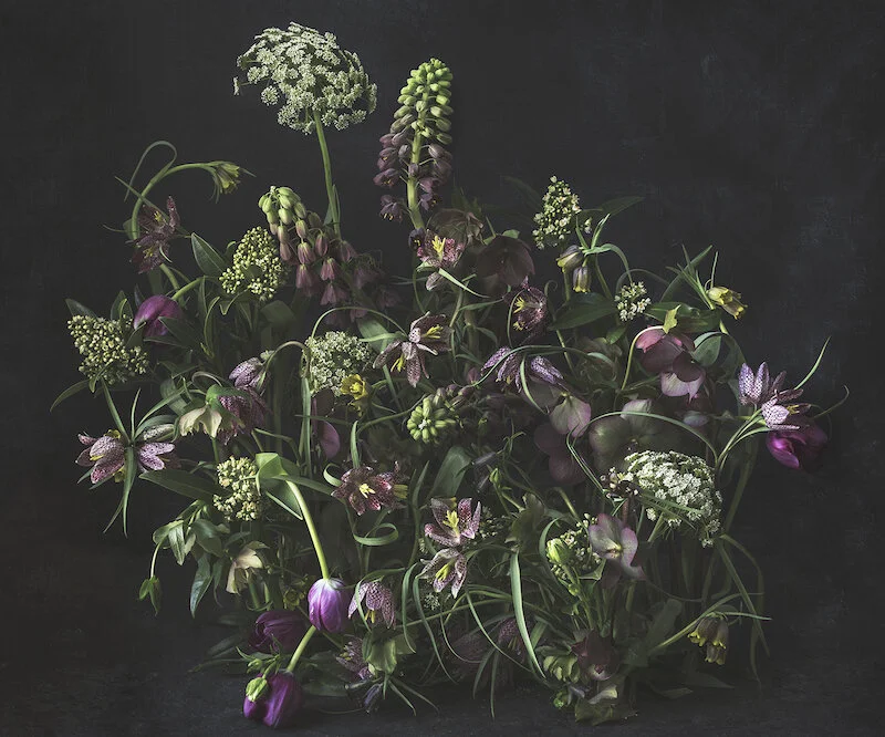 A Modern Floral Tale by Kreetta Järvenpää — FAIRE