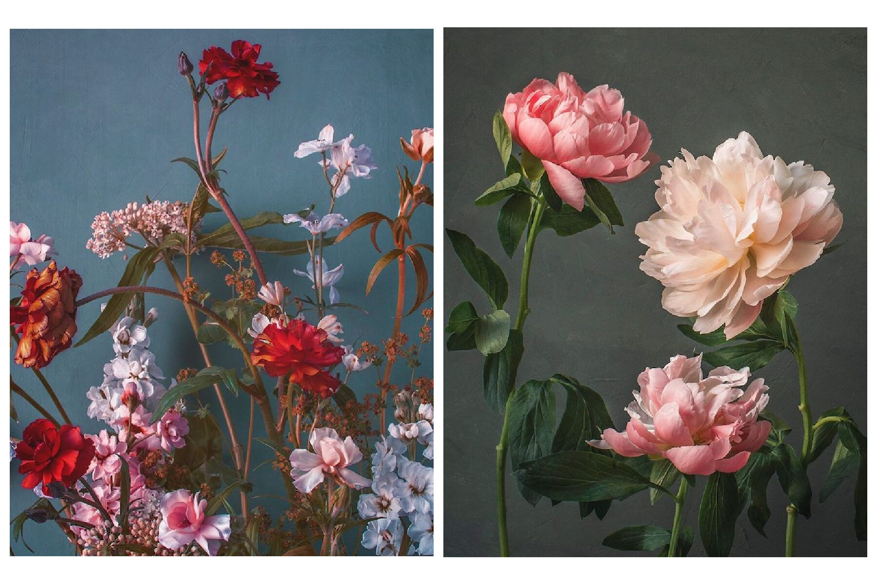 A Modern Floral Tale by Kreetta Järvenpää — FAIRE