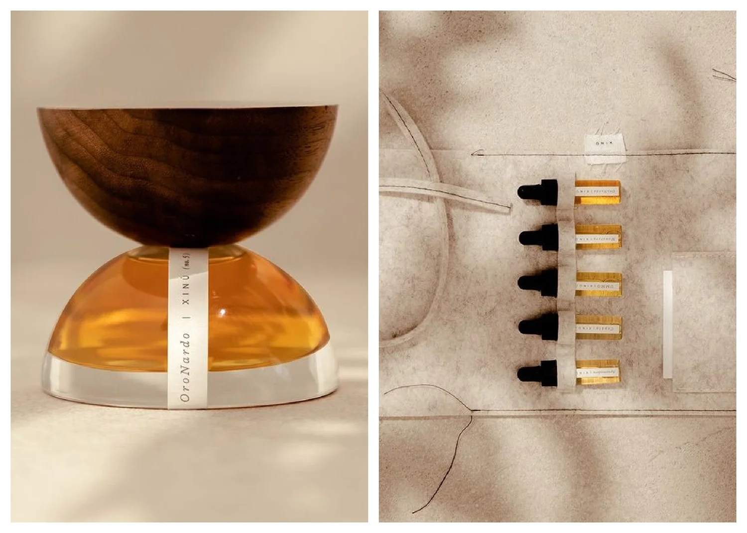 Liz Schaffer founder and creative director of Lodestars Anthology ...