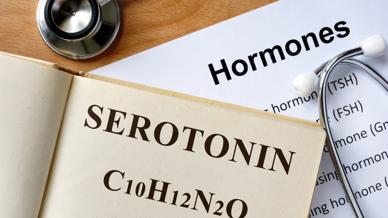 Unlocking the Gut-Brain Connection: How Serotonin Production Affects ...