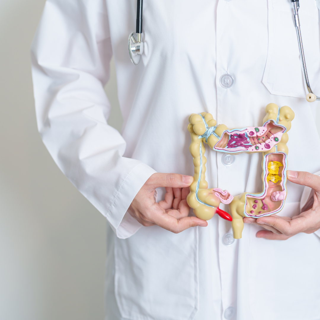 Common Gastrointestinal (GI) Issues and How to Prevent Them — Medical ...