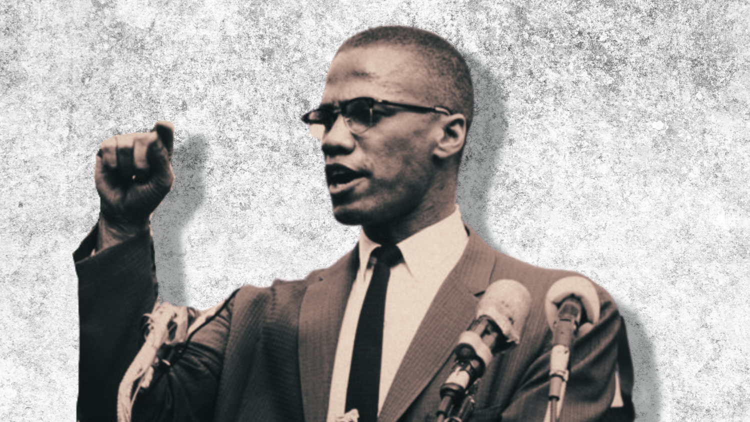 Lumumba Bandele of Malcolm X Grassroots Movement | Piper Carter Podcas ...