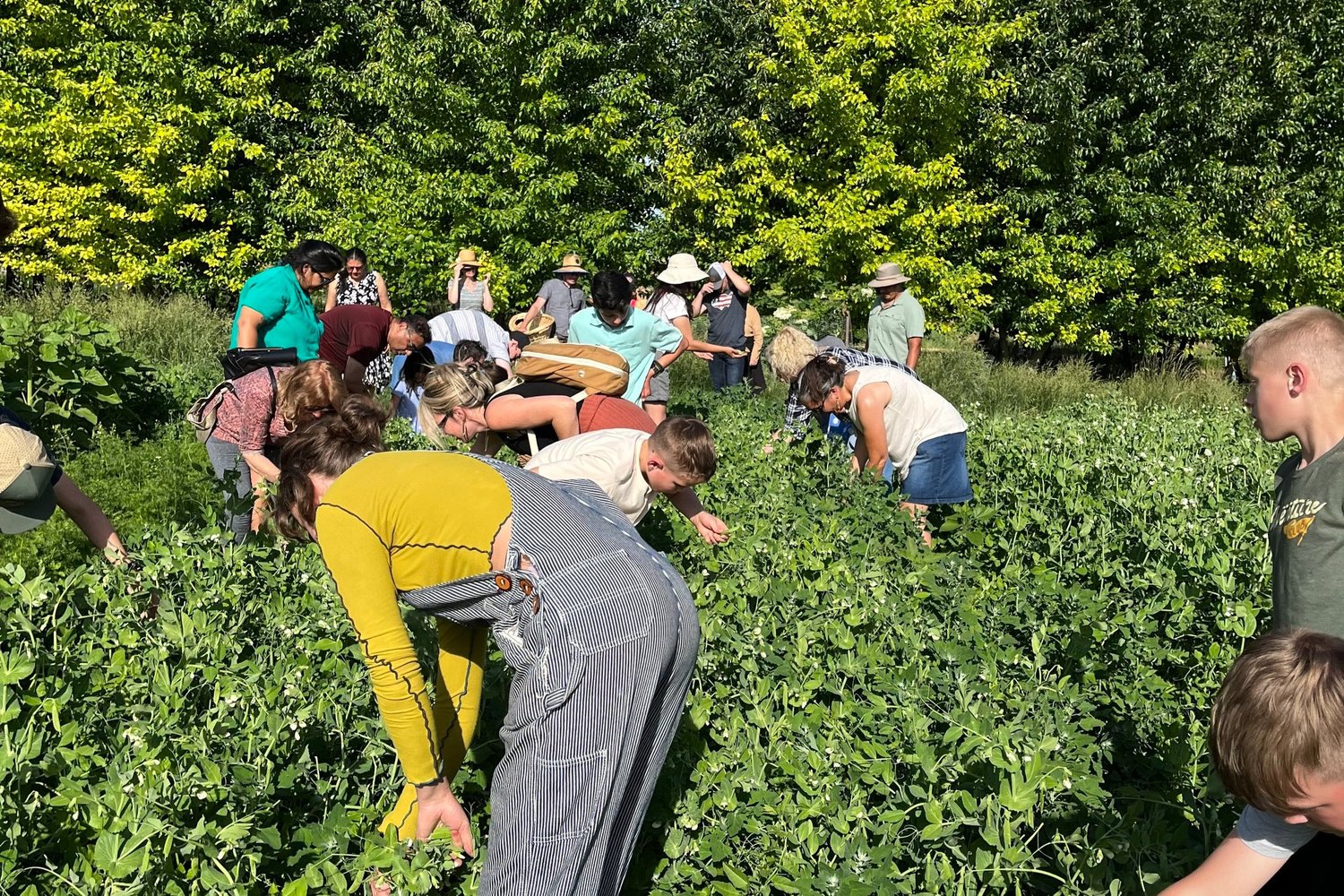 General 1 — Peaceful Belly Farm