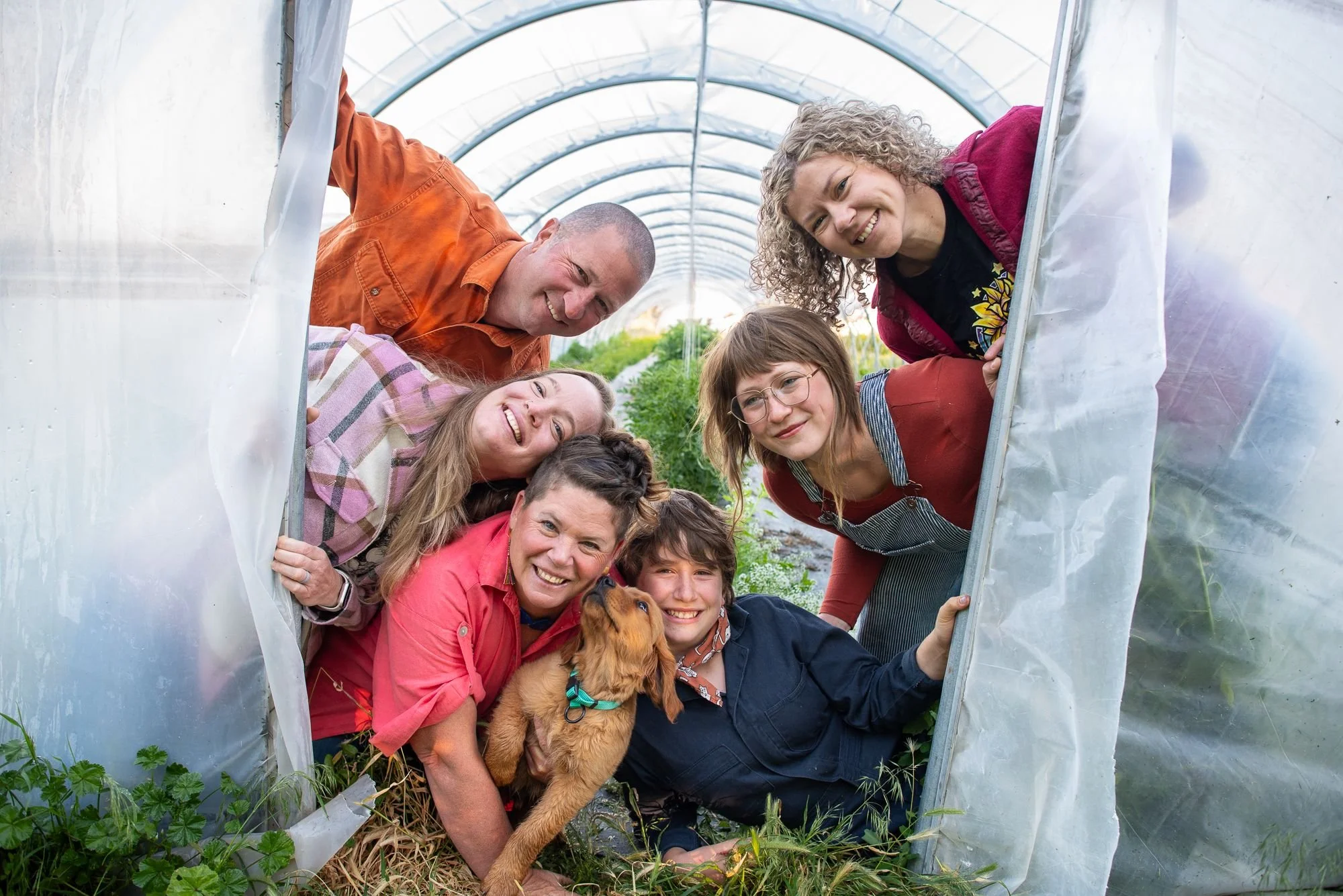 Visit us — Peaceful Belly Farm