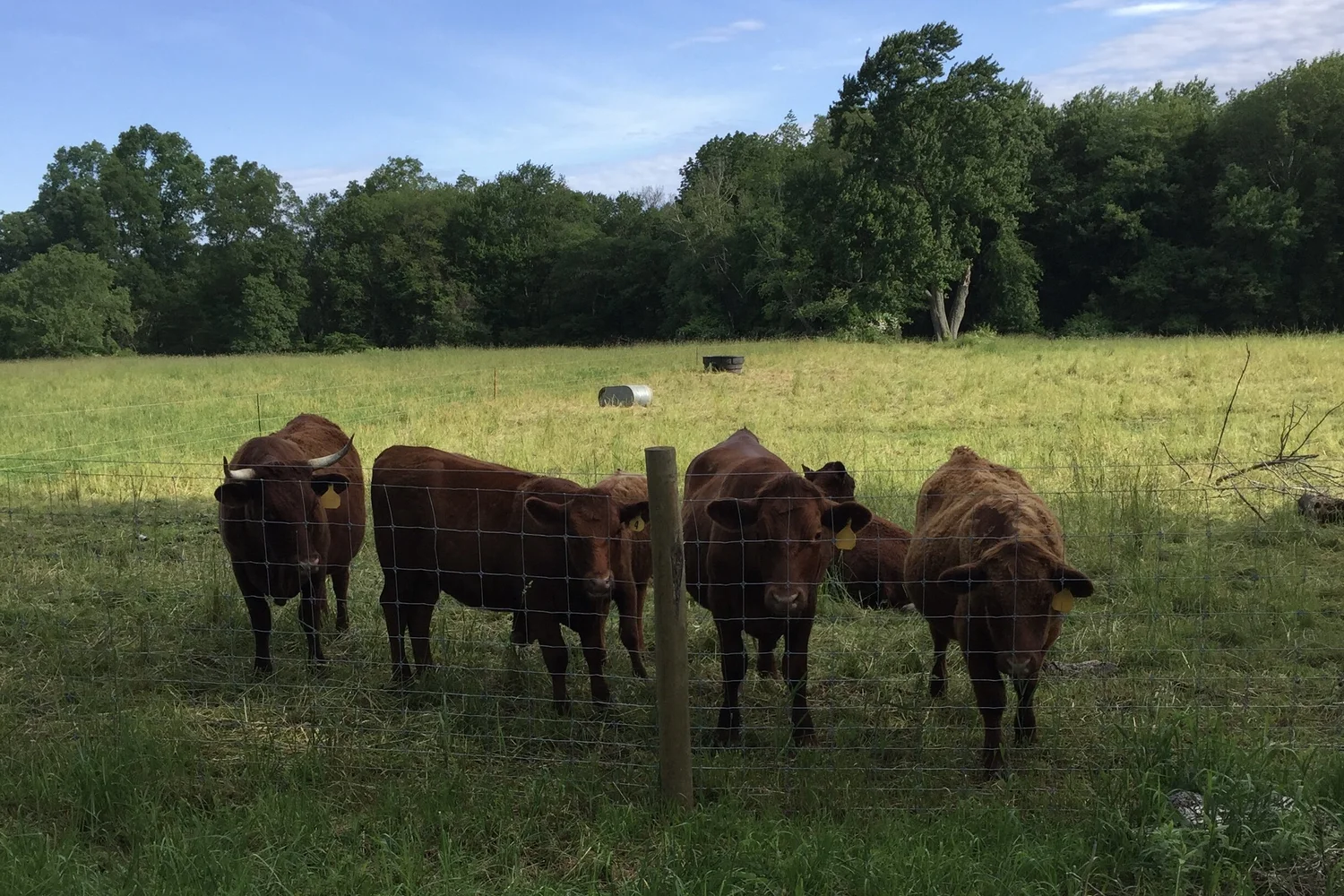 General 1 — Borders Farm Preservation, Inc.