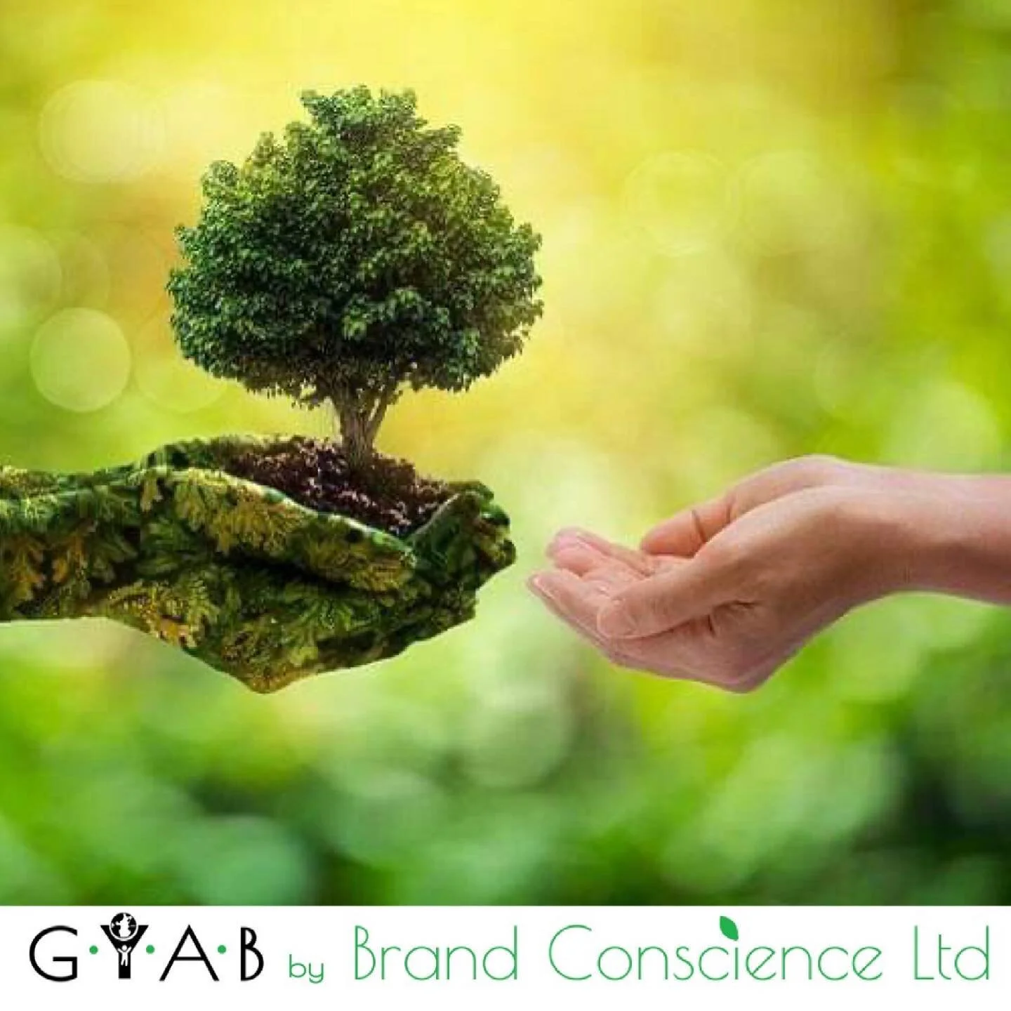 Education — Brand Conscience